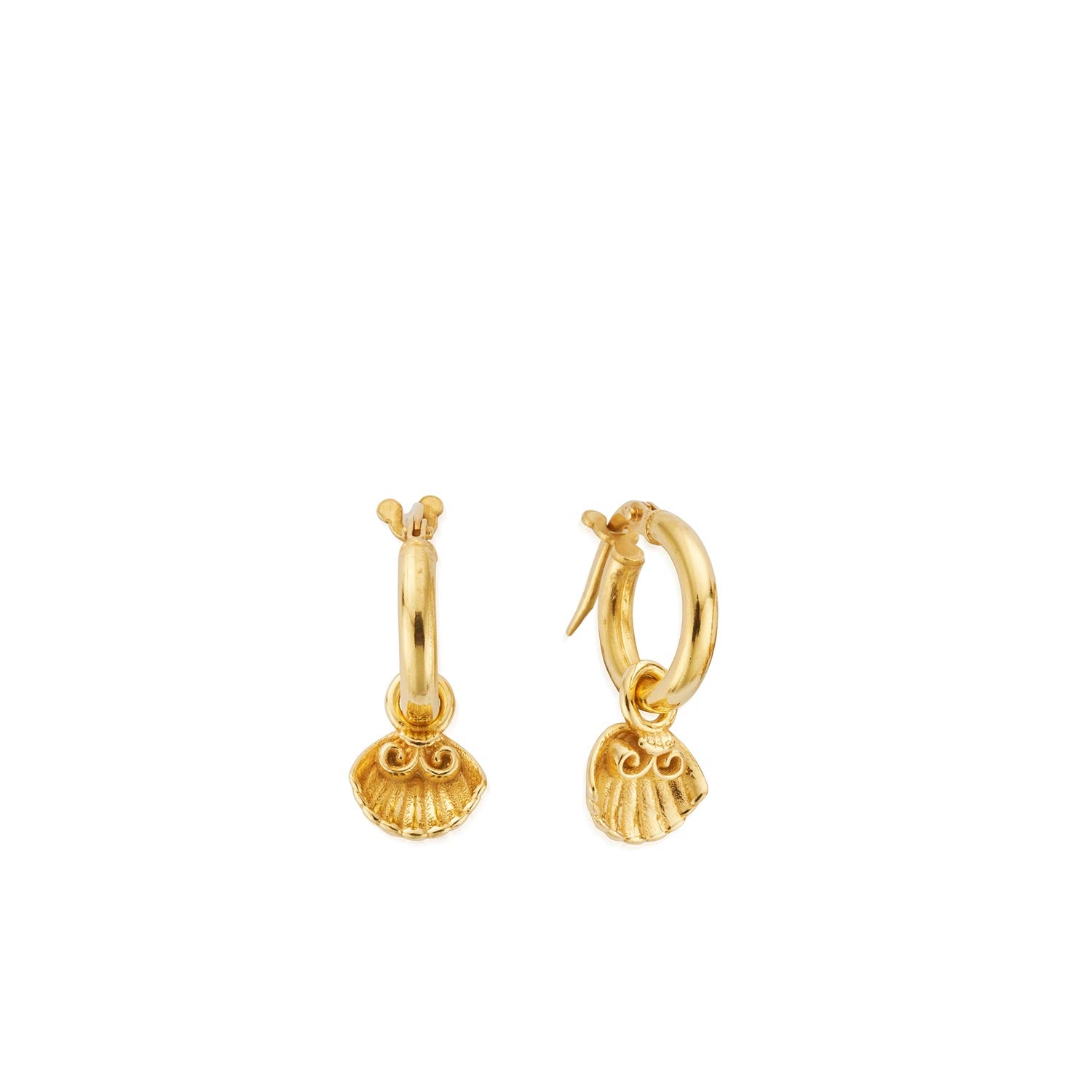 ChloBo In Bloom Travel Seekers Shell Charm Hoops, Gold - McElhinneys