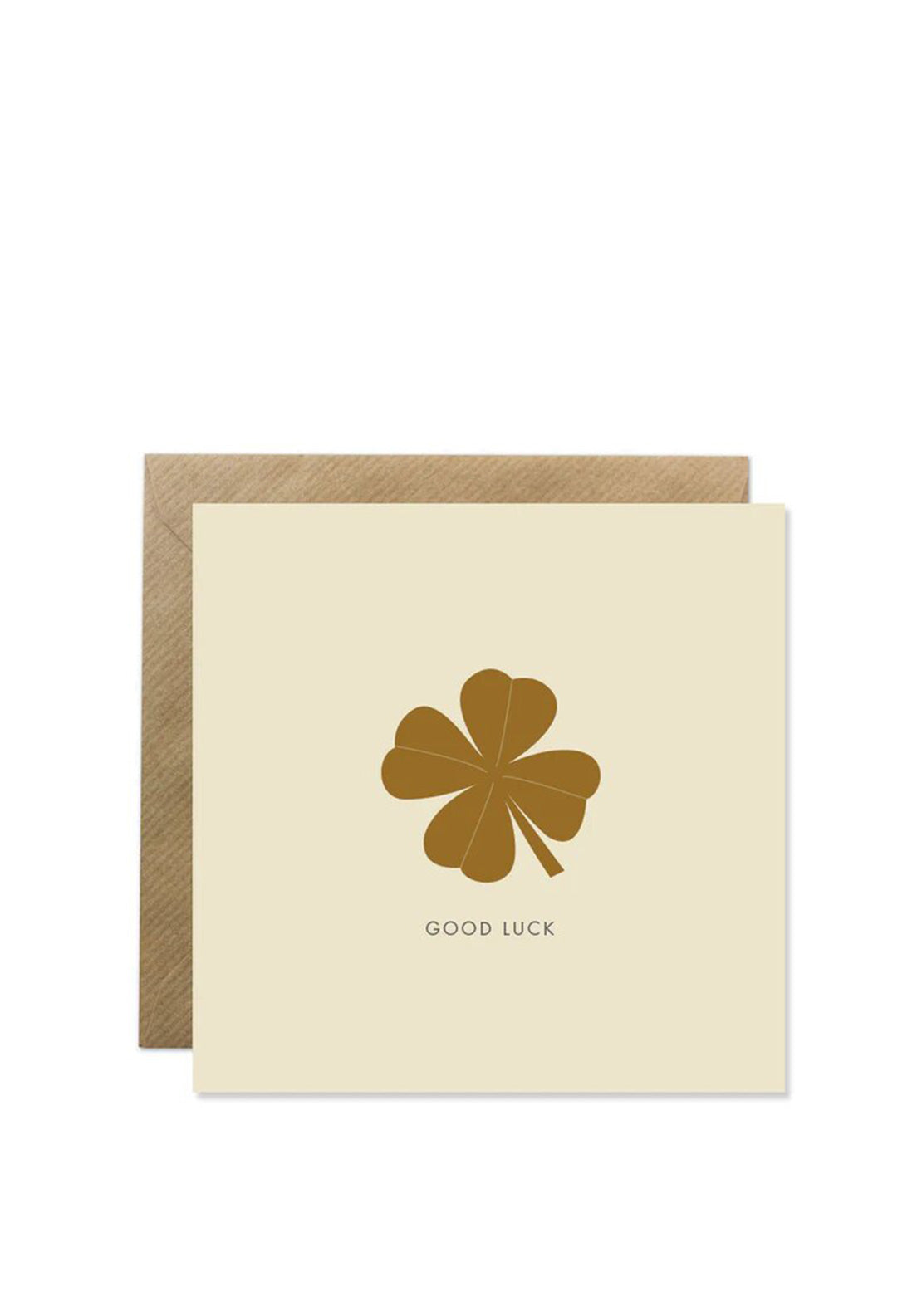 Bold Bunny “Good Luck” Greetings Card - McElhinneys
