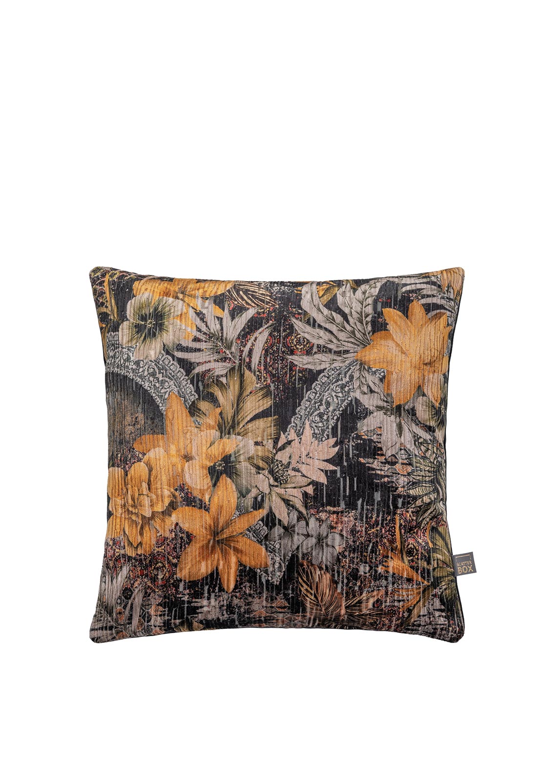 Scatterbox Margo Feather 43x43cm Cushion, Black - McElhinneys